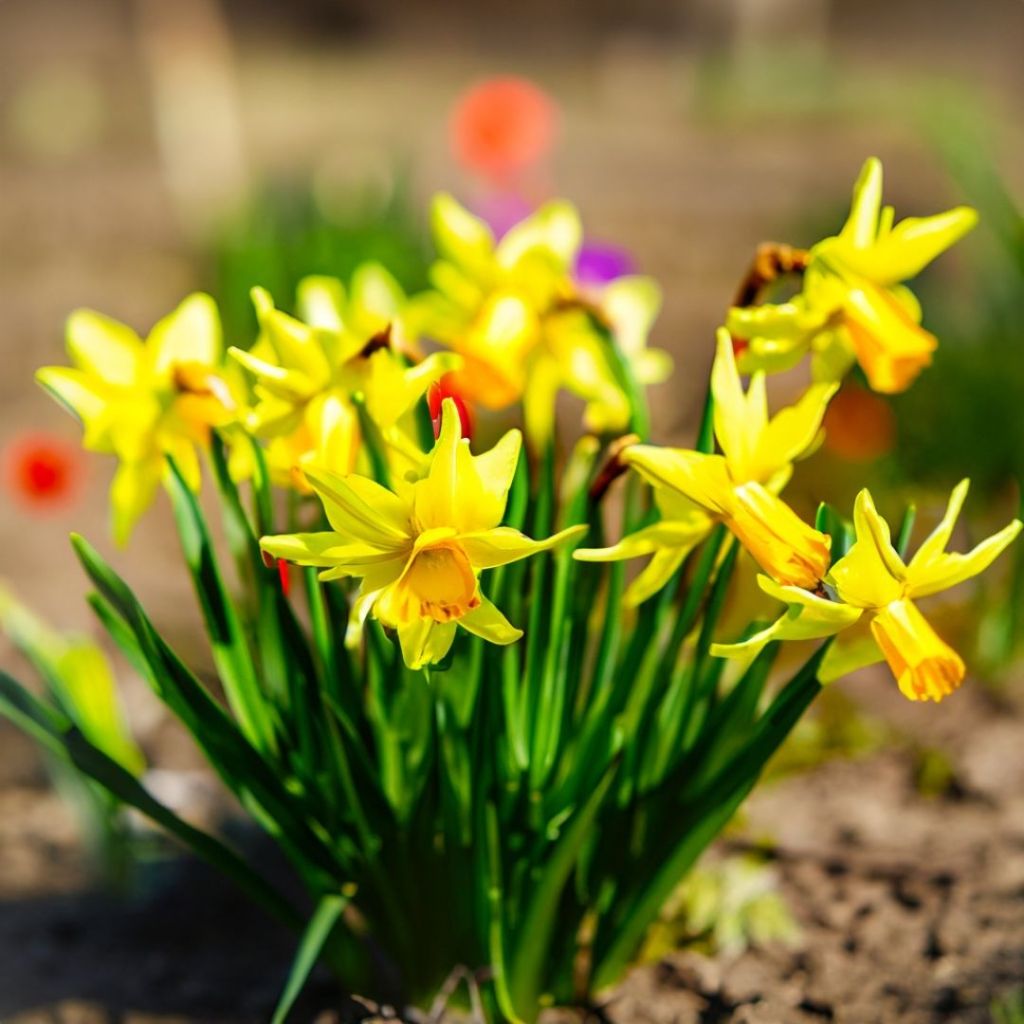 The Mullion Hat Pattern Available Now – Creative Loops